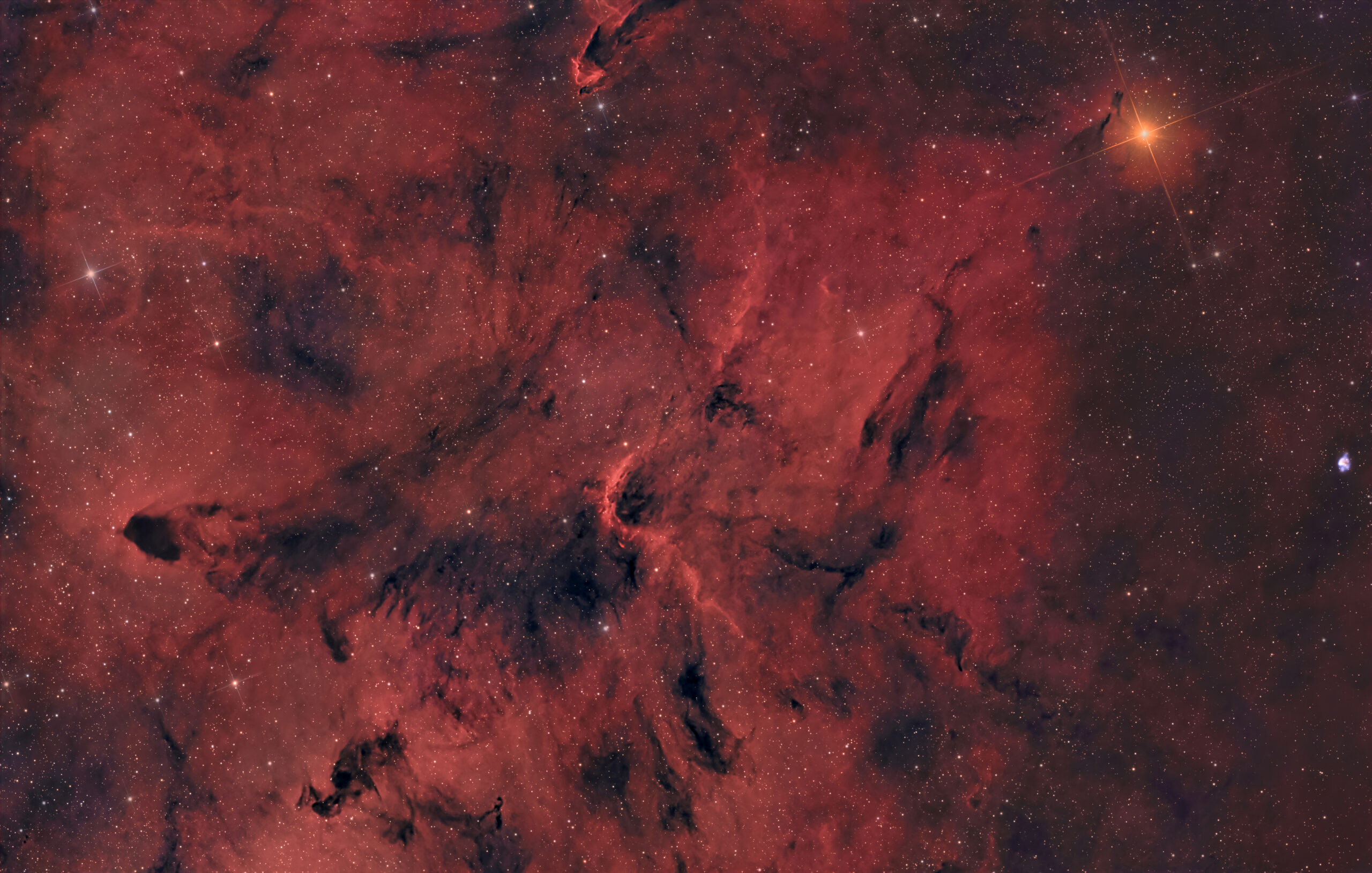 Foto di Massimo Di Fusco: Mu Cephei e dintorni - Cosmo2050